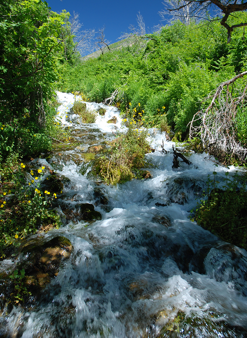 Environmental - CiSCO